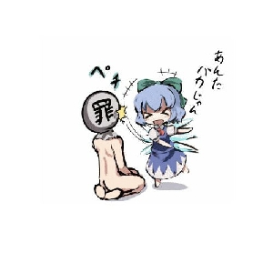 今天开始养猫啦 