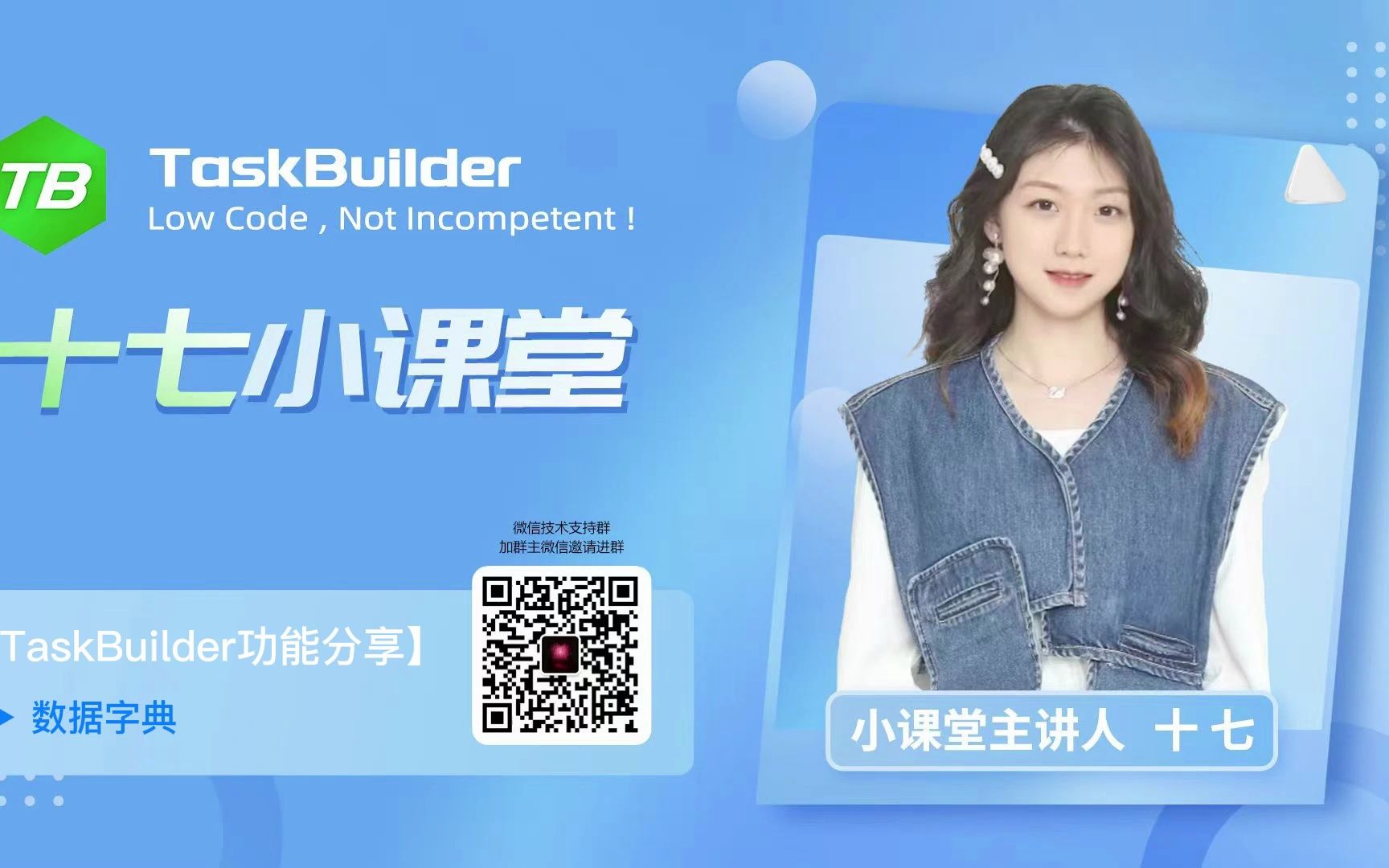 【TaskBuilder功能分享】:数据字典