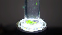 实验,叶片在光和作用下产生氧气
