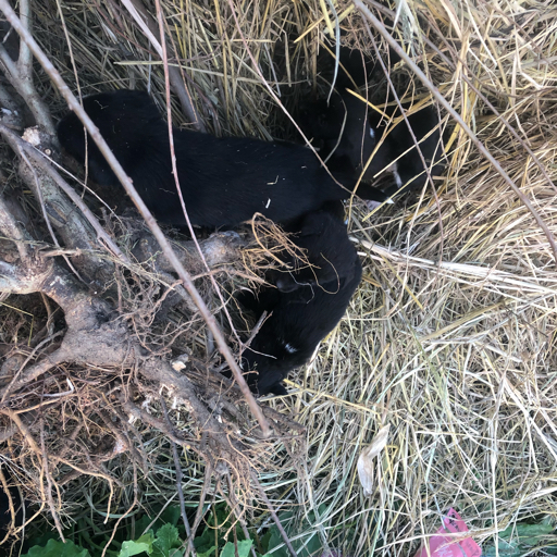 人生的我就是你 