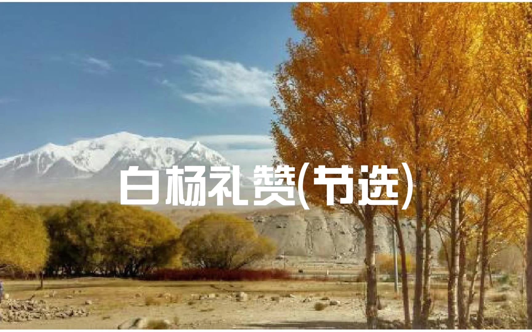 白杨礼赞(节选)朗诵
