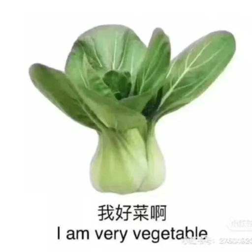 花花晓花花1 