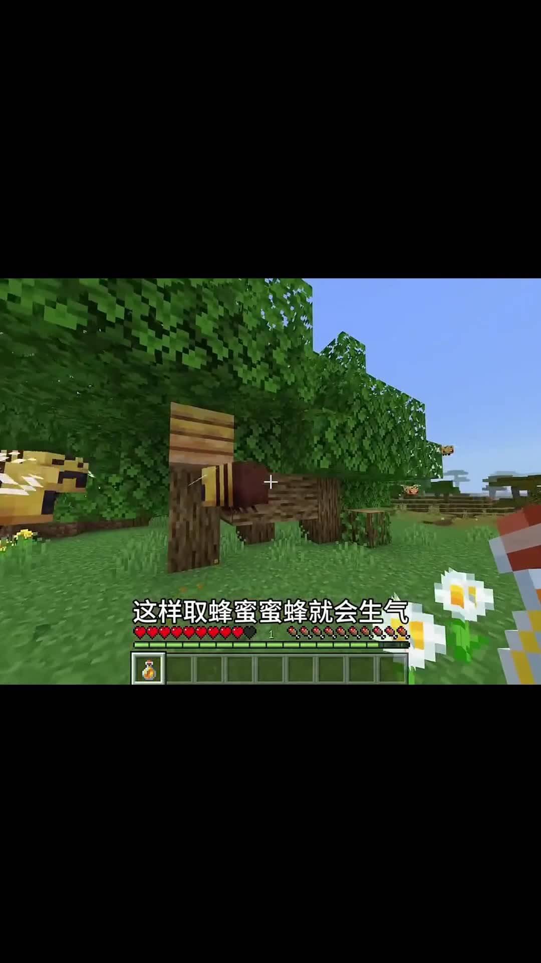我的世界取蜂蜜小技巧,这样蜜蜂才不会生气