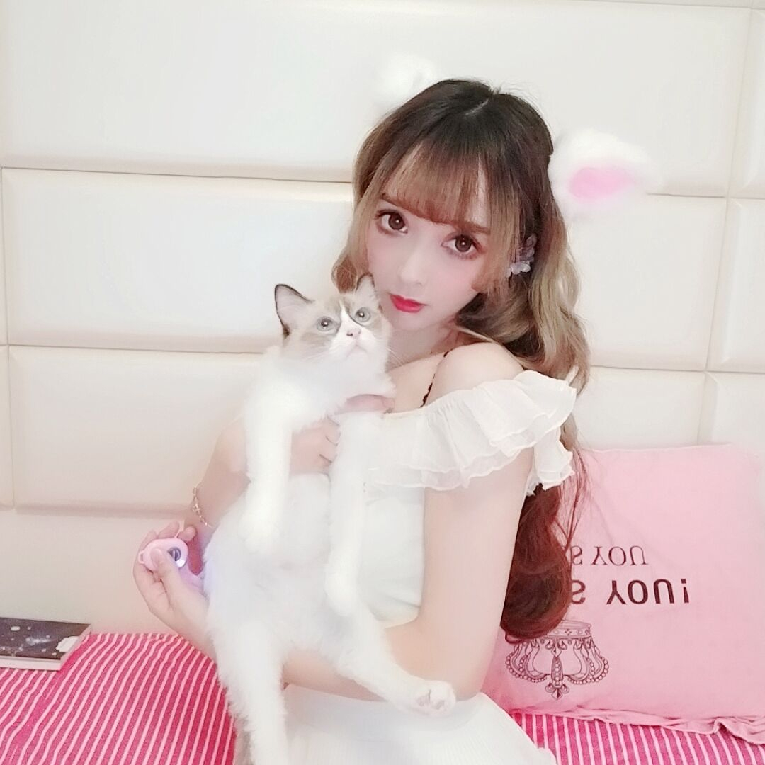 陶鹿鹿呀 