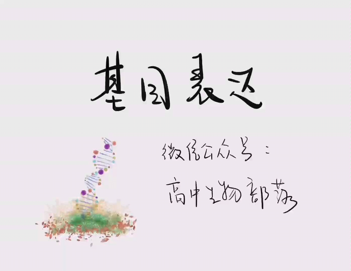 【高中生物】如何理解基因表达的转录翻译过程?