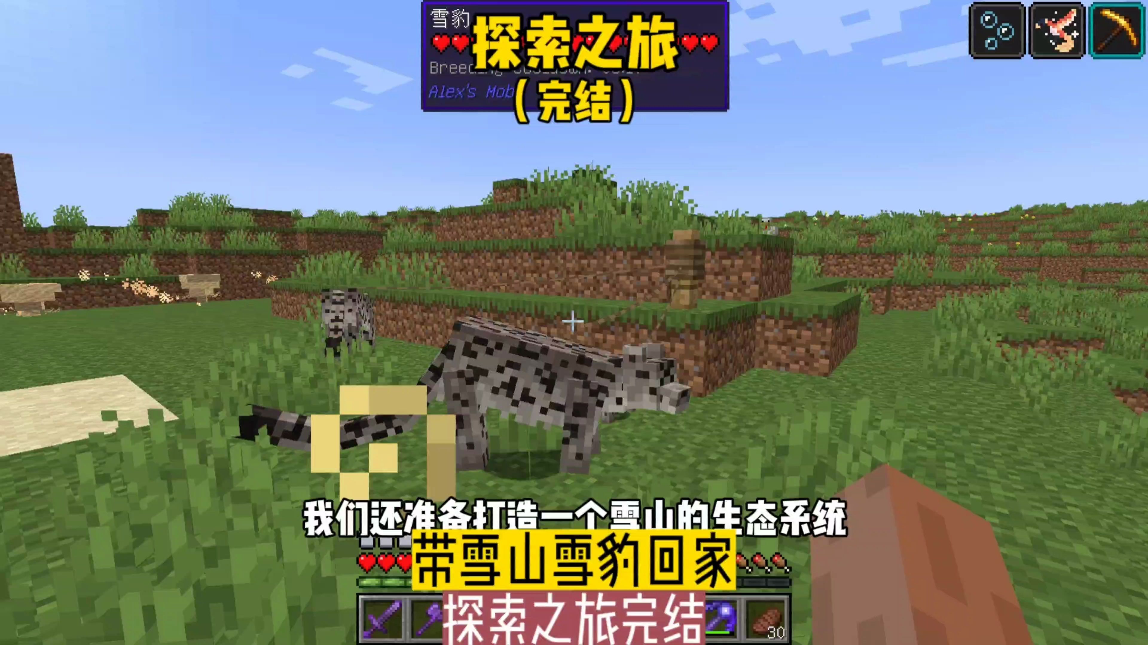 探索之旅(完结):带雪山雪豹回家,探索之旅完结_我的世界_实况解说
