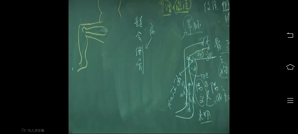 八会穴介绍,筋骨有问题,可以在绝骨穴下针