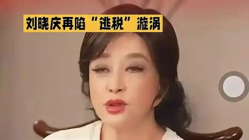 刘晓庆再陷“逃税”漩涡