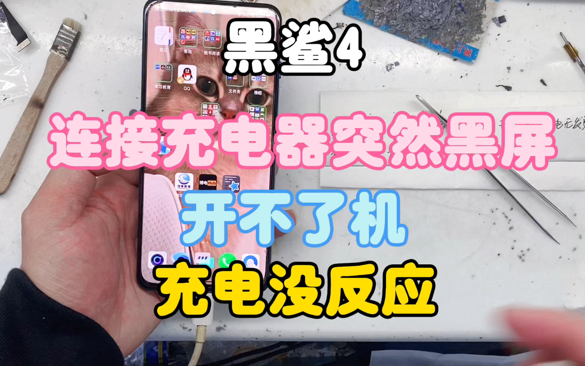黑鲨4连接充电器突然黑屏,开不了机,充电没反应。