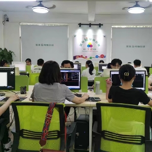 广西数据猫电脑培训 