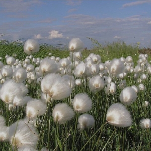 不与世争与己争 