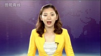 视频|曹杨街道打造社会组织品牌项目构建社区治理新维度