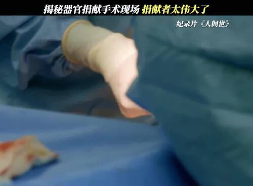 人间世:揭秘器官捐献手术现场,捐献者太伟大了