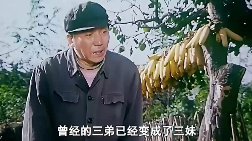 太绝了!30年前的"计生宣传片",如今的神级预言!
