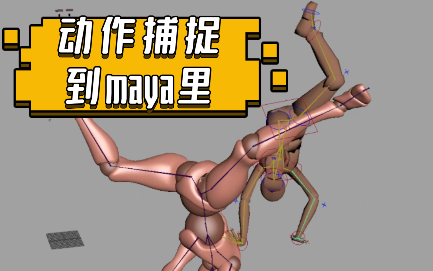 动作捕捉到在maya里