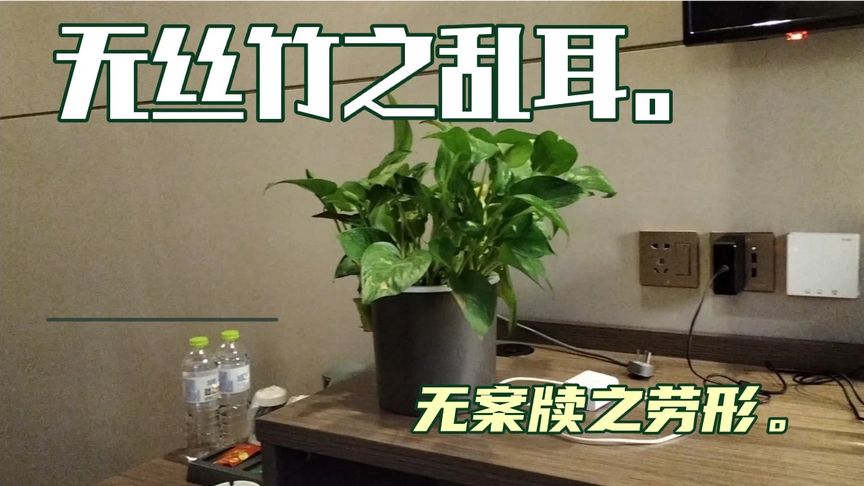 无丝竹之乱耳,无案牍之劳形,清雅的环境。