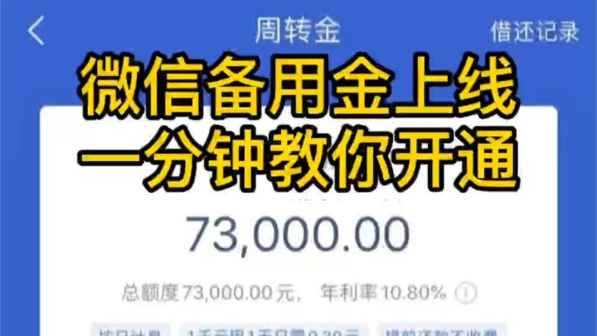 继微信“花呗”分付后,微信再添备用金功能,网友:模仿支付宝?
