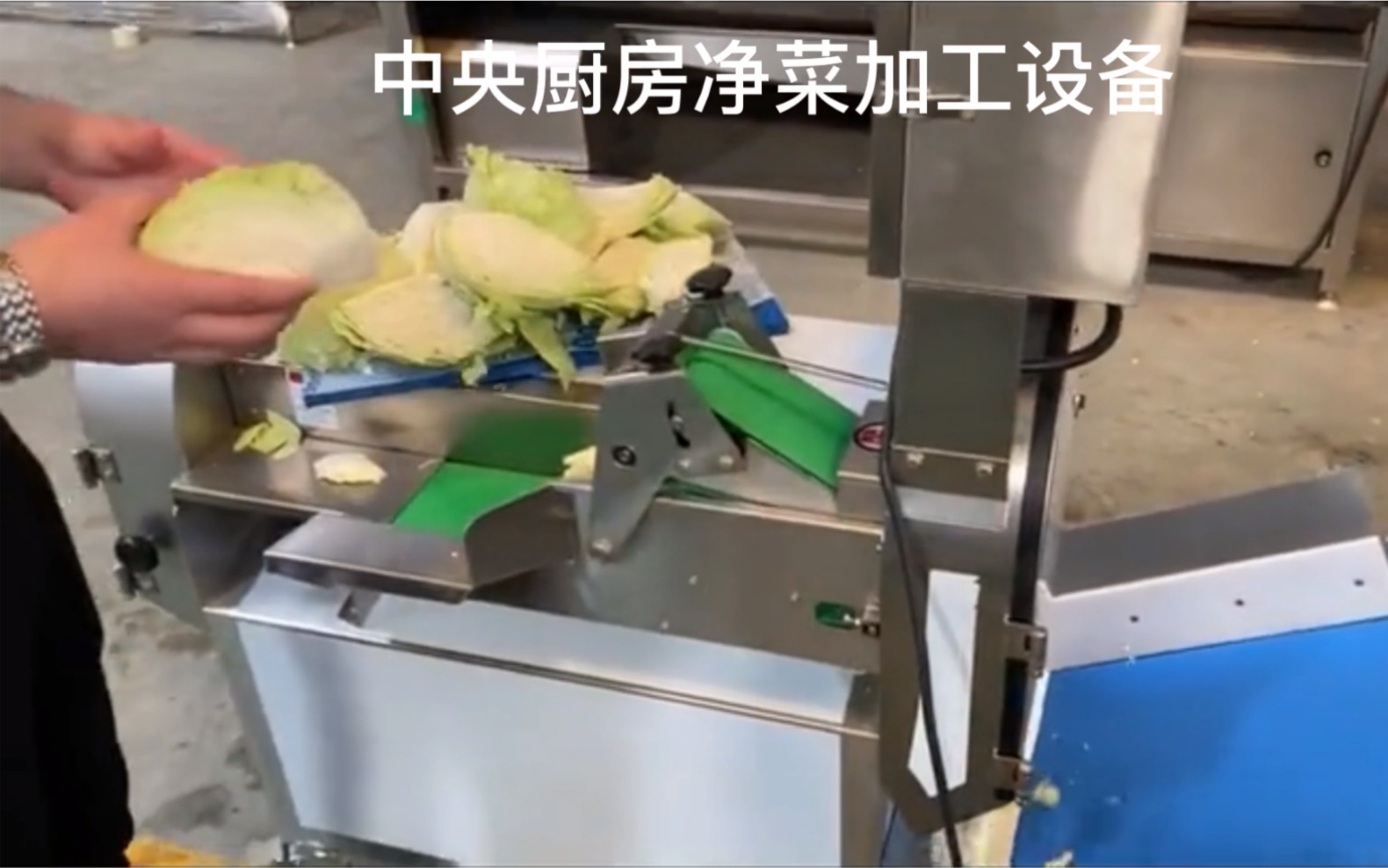 中央厨房蔬菜清洗设备,净菜加工流水线实体厂家