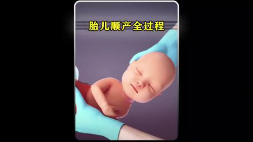 胎儿分娩时母亲都经历了什么这个视频为你讲解分娩全过程
