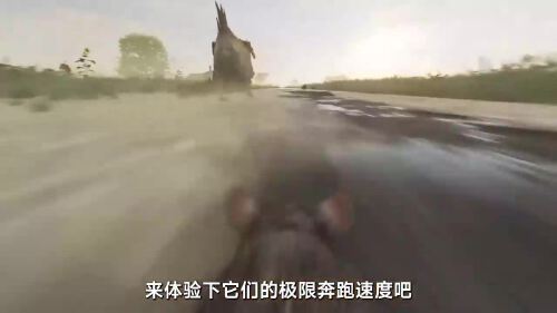 震撼!第一视角体验猎豹冲刺VS乌龟爬行,3分钟带你飞驰动物世界