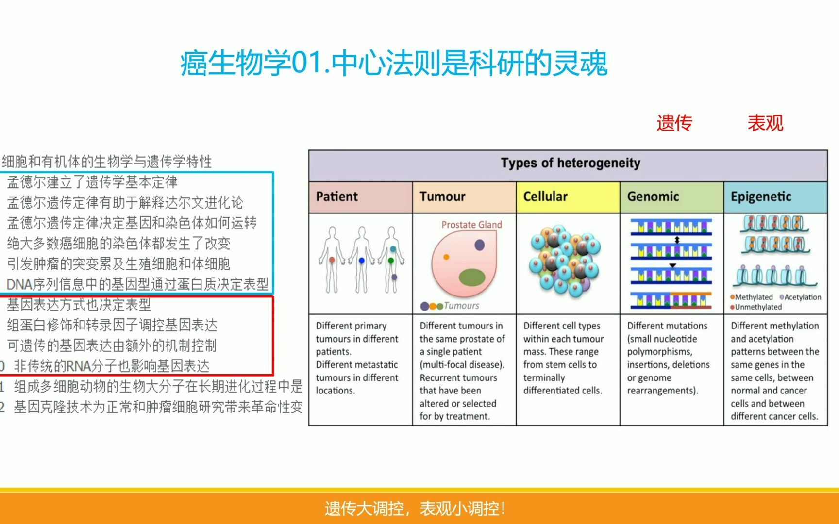 癌生物学01.基因决定表型