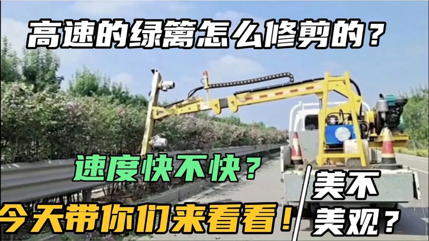 高速的绿篱怎么修剪的?速度快不快?带你们来看看,美不美观?