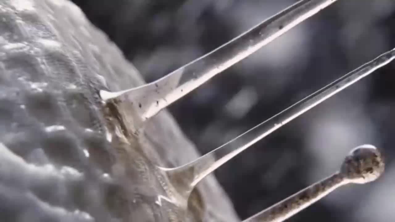 洗衣机应该多久清洗一次,你知道吗