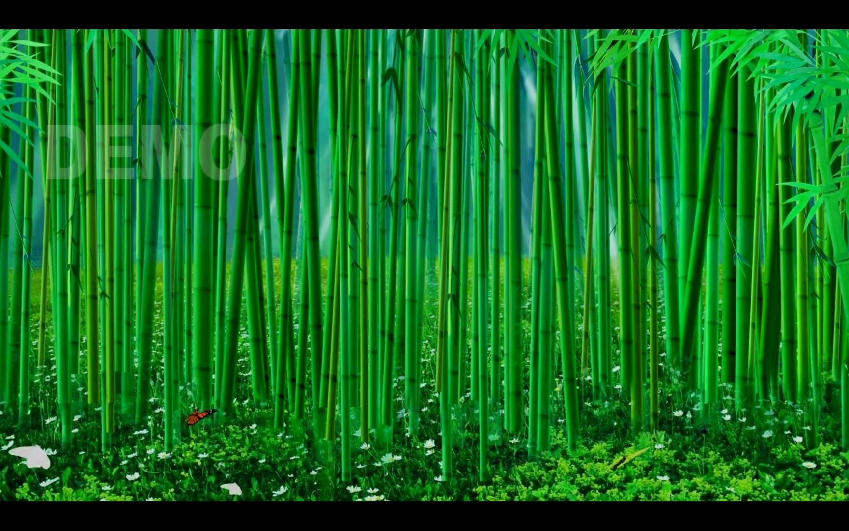 大屏素材 c675 唯美中国风桃花小桥小船竹林荷花仙鹤蝴蝶飞舞仙境...