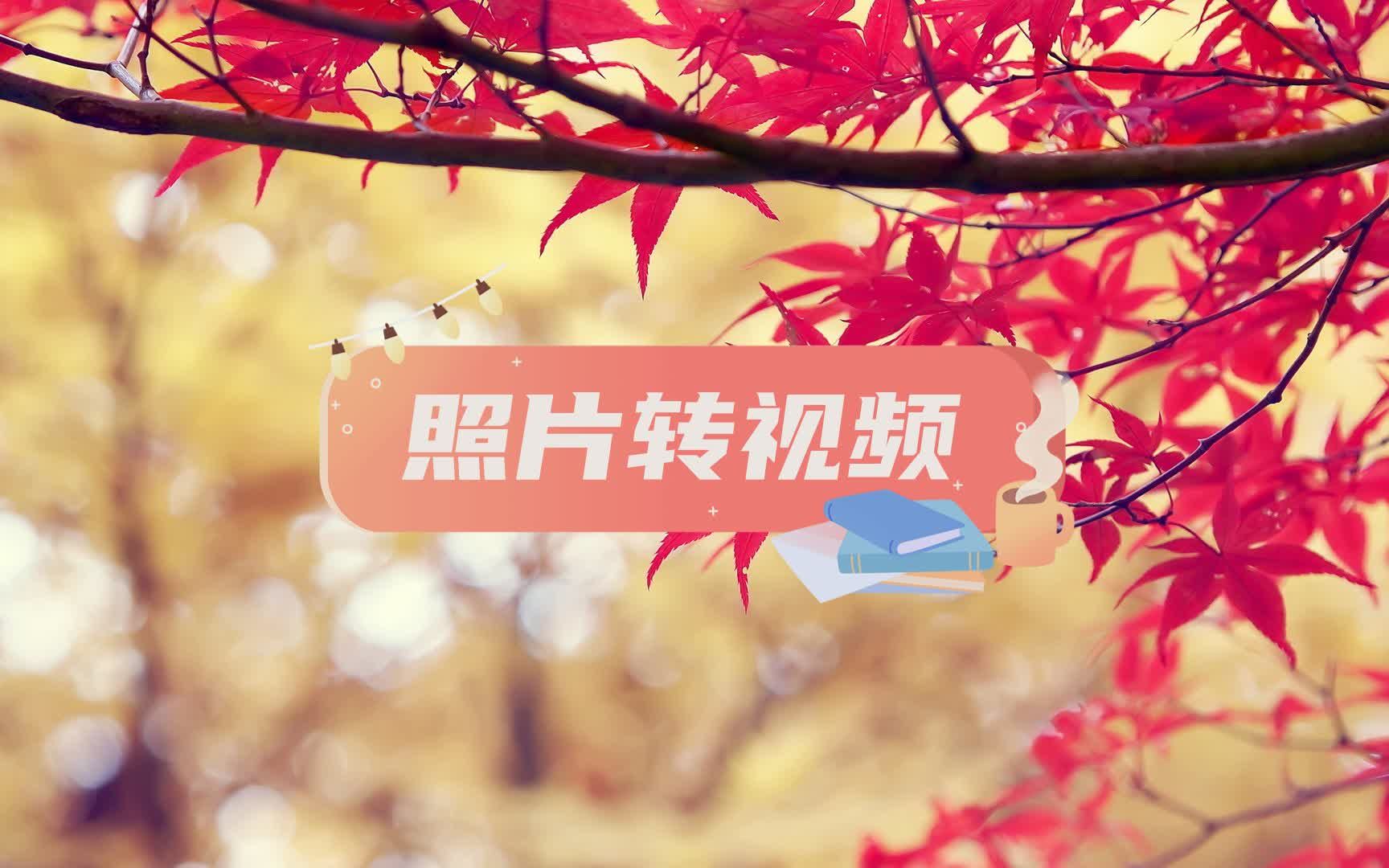 照片转视频软件,把图片做成动画的软件