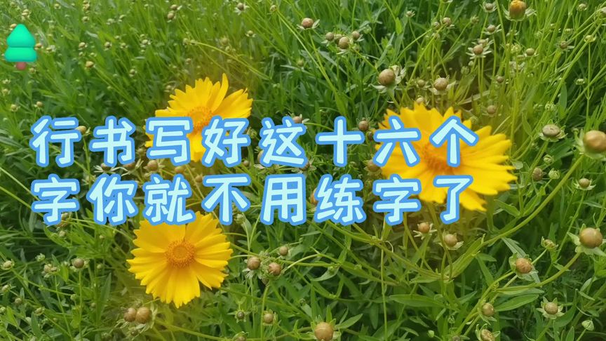 行书写好这16个字就不用练字了#书法 #行书教学 #王羲之