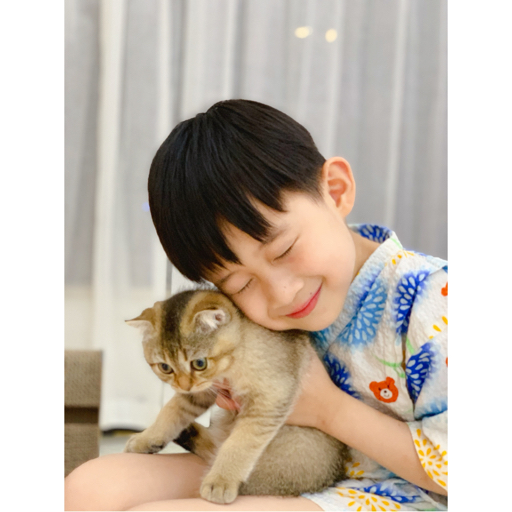 跳舞机器小糯糯 