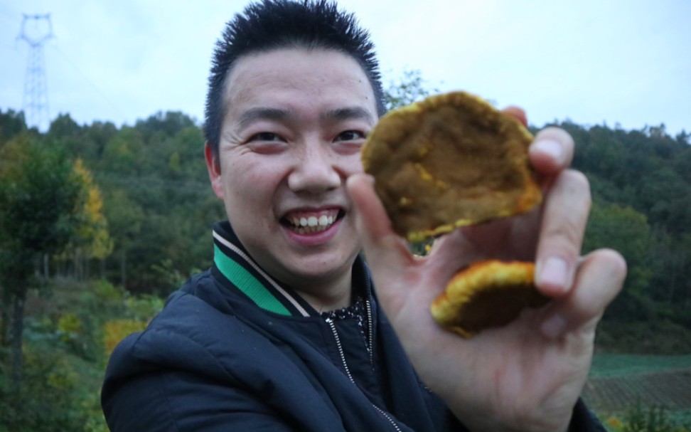 野生桑树桑黄现在是越来越少了,以后会更稀少,很多人还不认识