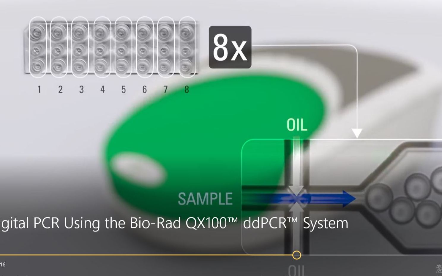 微滴式数字PCR(ddPCR→Digital PCR Using the Bio-Rad QX100™ ...