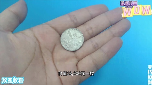这个品种的一元硬币,价值18000元一枚,你家有么