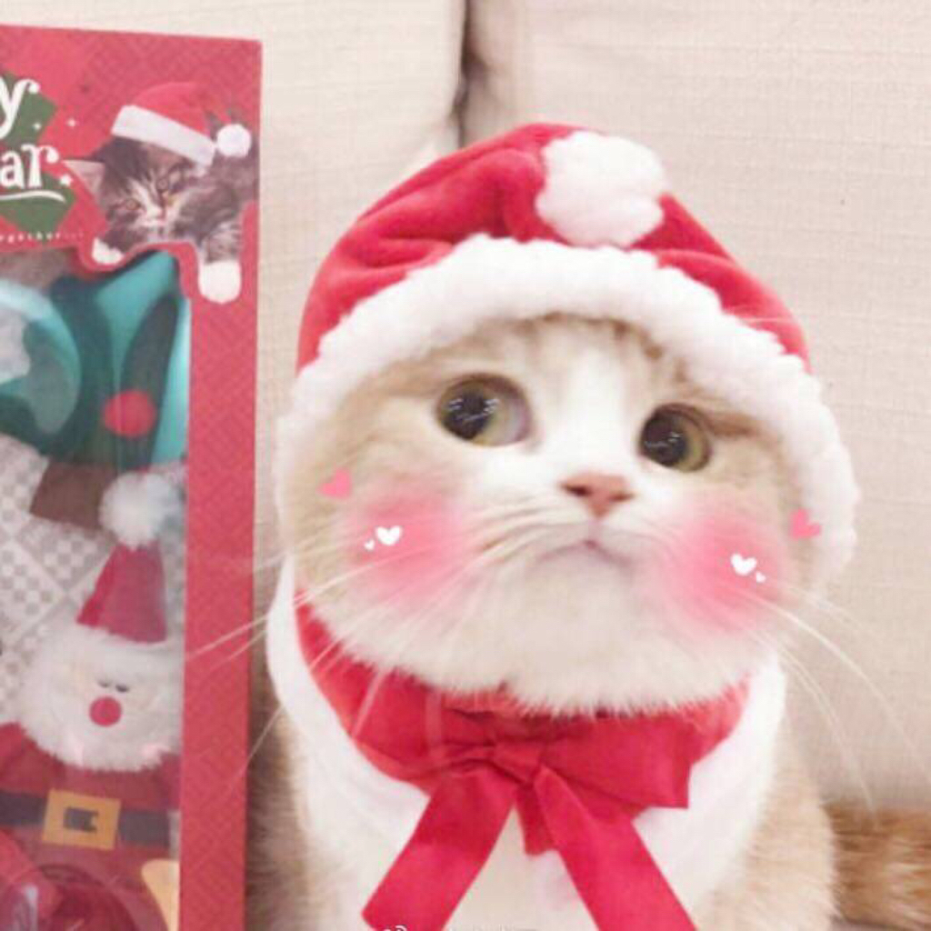 妳为什么不Ban猛犸 