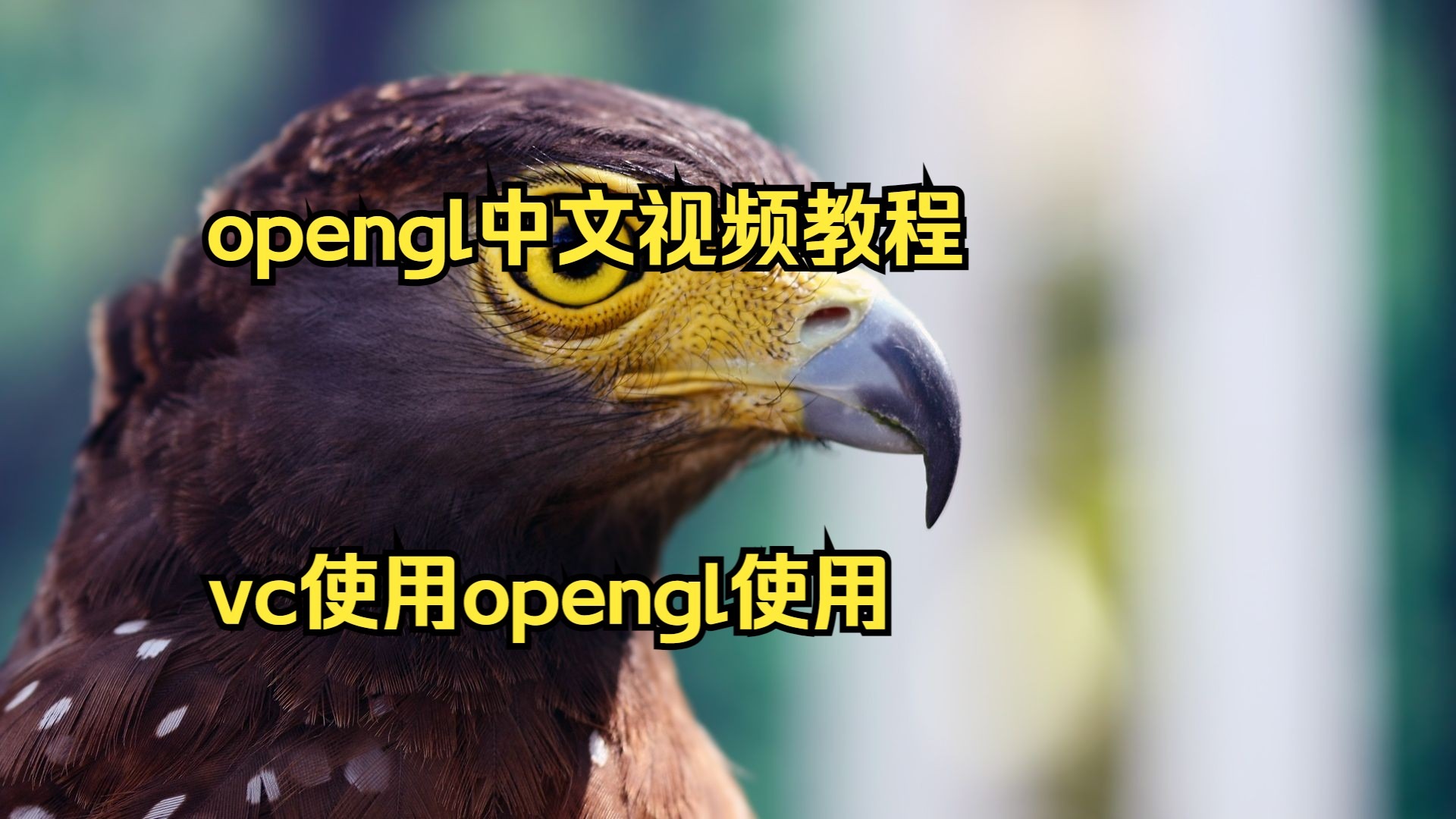 opengl中文视频教程下载 vc使用opengl使用教程 op