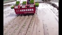 2ZBP-96型水稻有序抛秧机大田抛秧实况