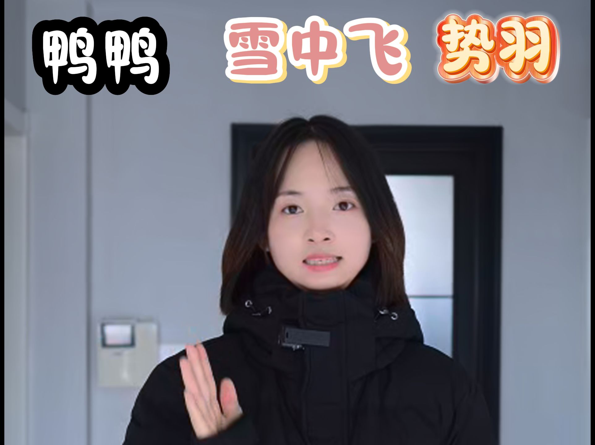 鸭鸭、势羽、雪中飞长款羽绒服测评