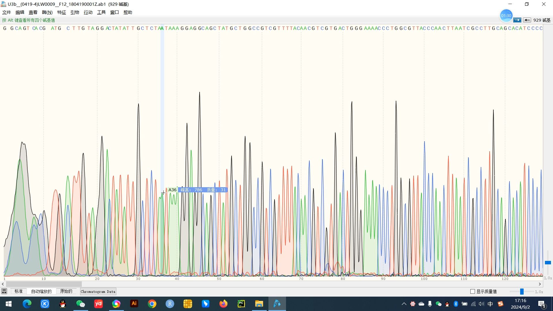 SnapGene查看测序结果及两条DNA序列比对