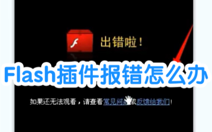 Flash插件报错怎么办?