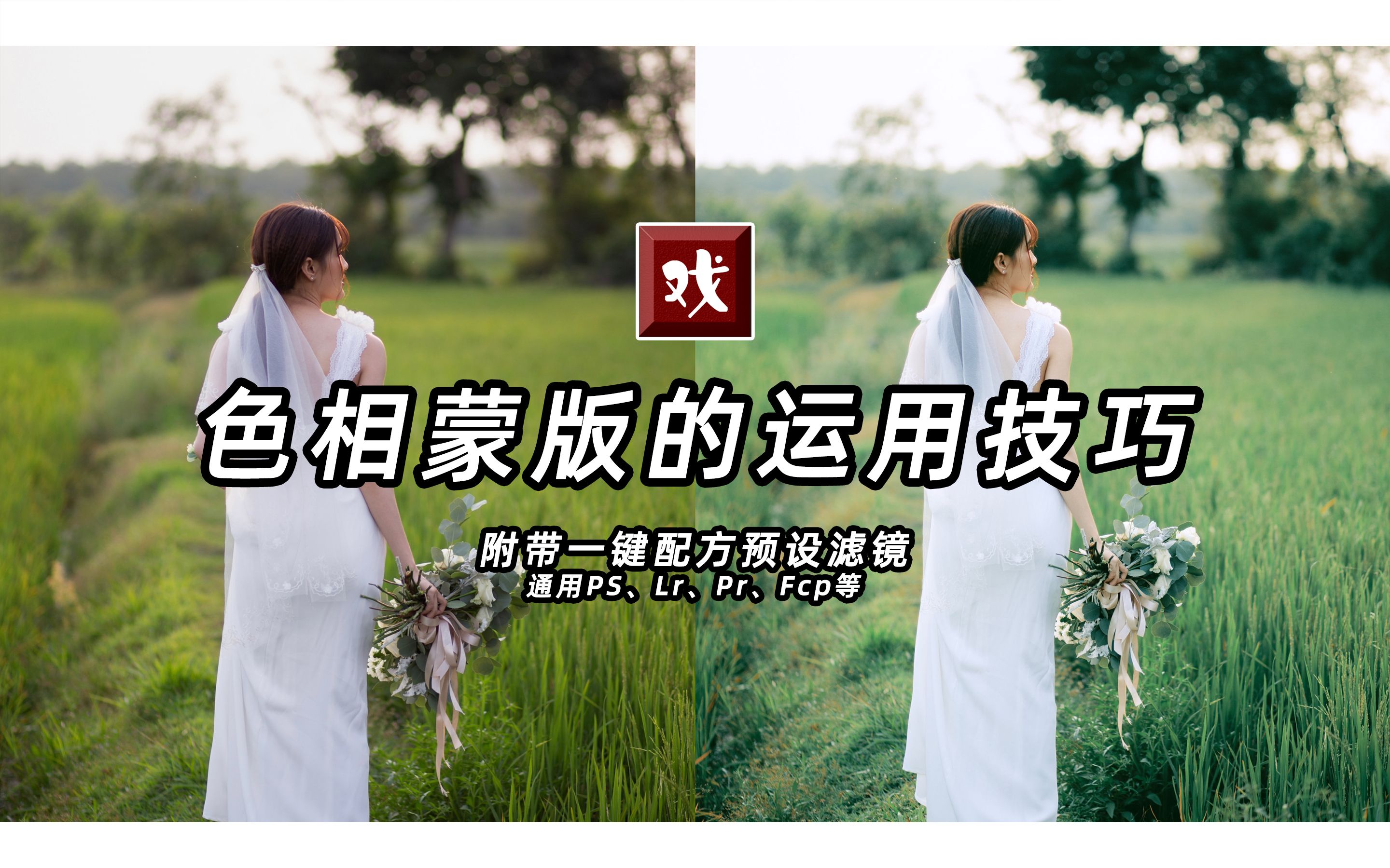 数码仿胶片|人像调色肤色和谐技巧 色相蒙版 关联哈苏蓝柯达富士胶片