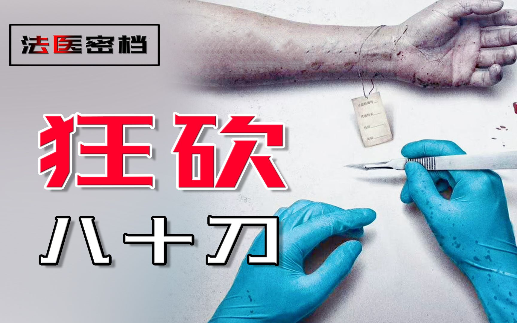 双手捆三层,狂砍八十刀,真实血腥谋杀案【法医密档第2案】