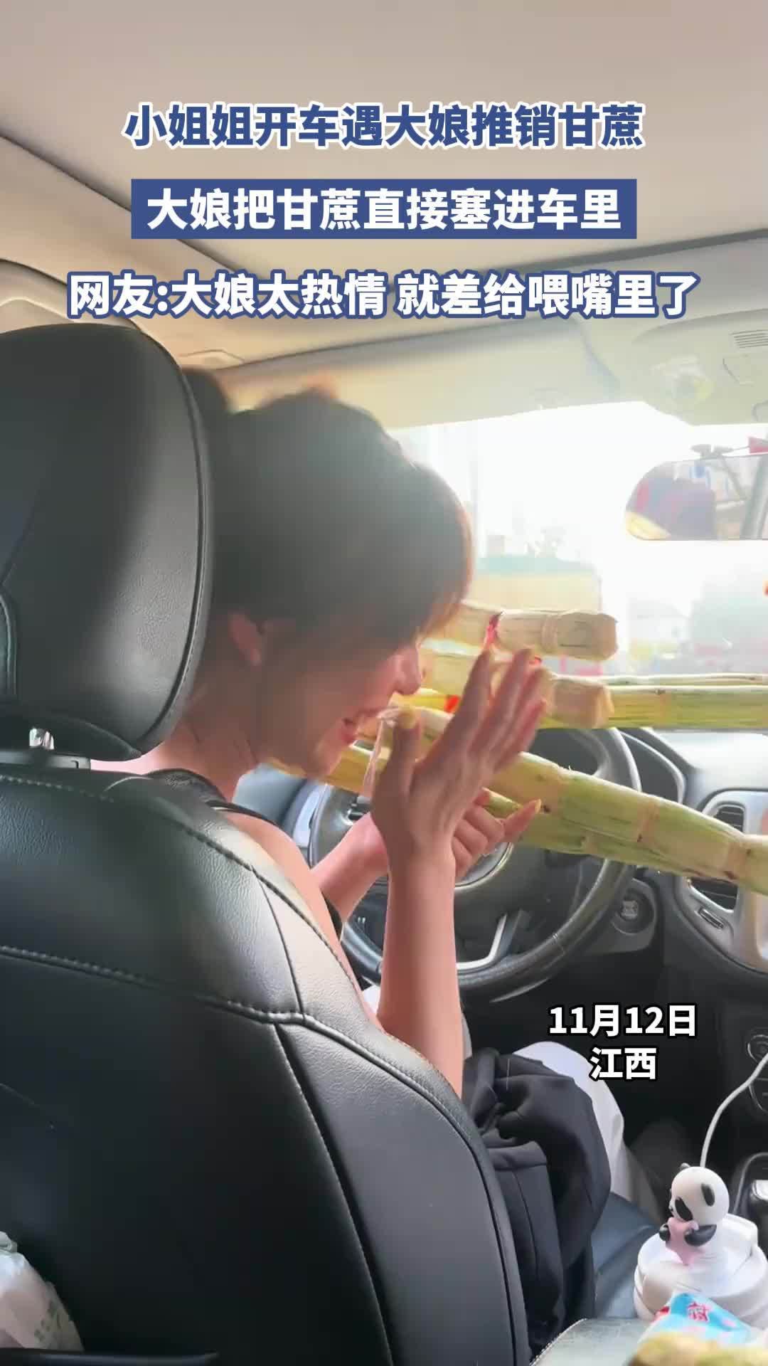 小姐姐开车遇大娘推销甘蔗,大娘把甘蔗直接塞进车里