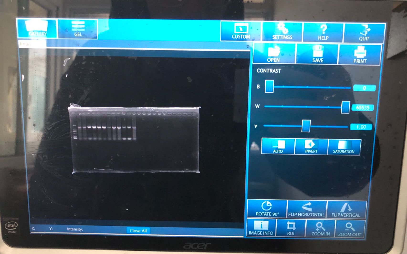 常规PCR