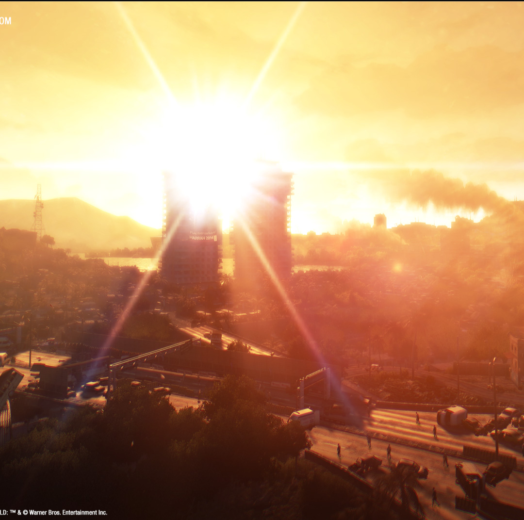 努力做全战的猫头鹰 