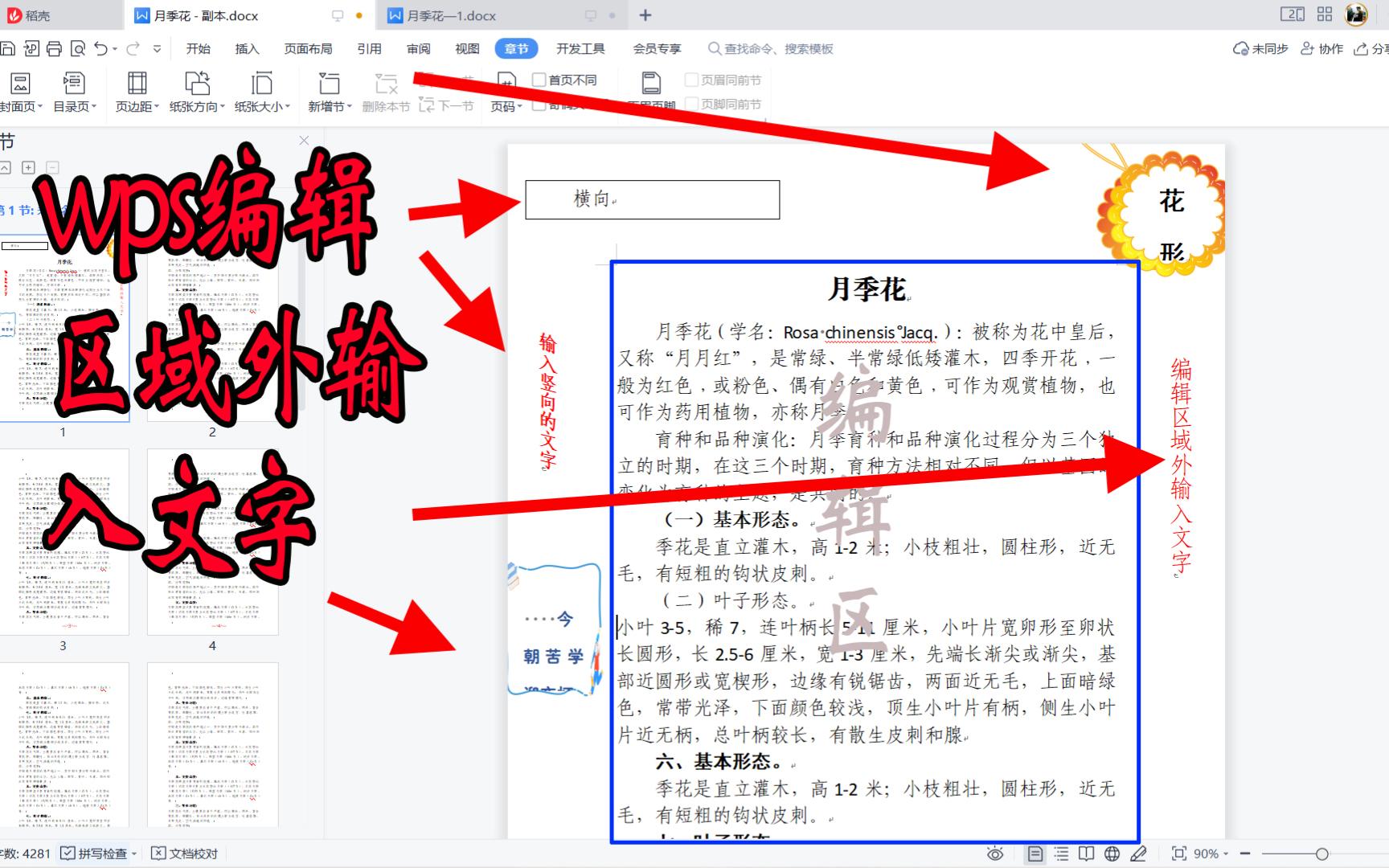 wps文字文档如何在编辑区域外输入文字?两种方法,十分好用