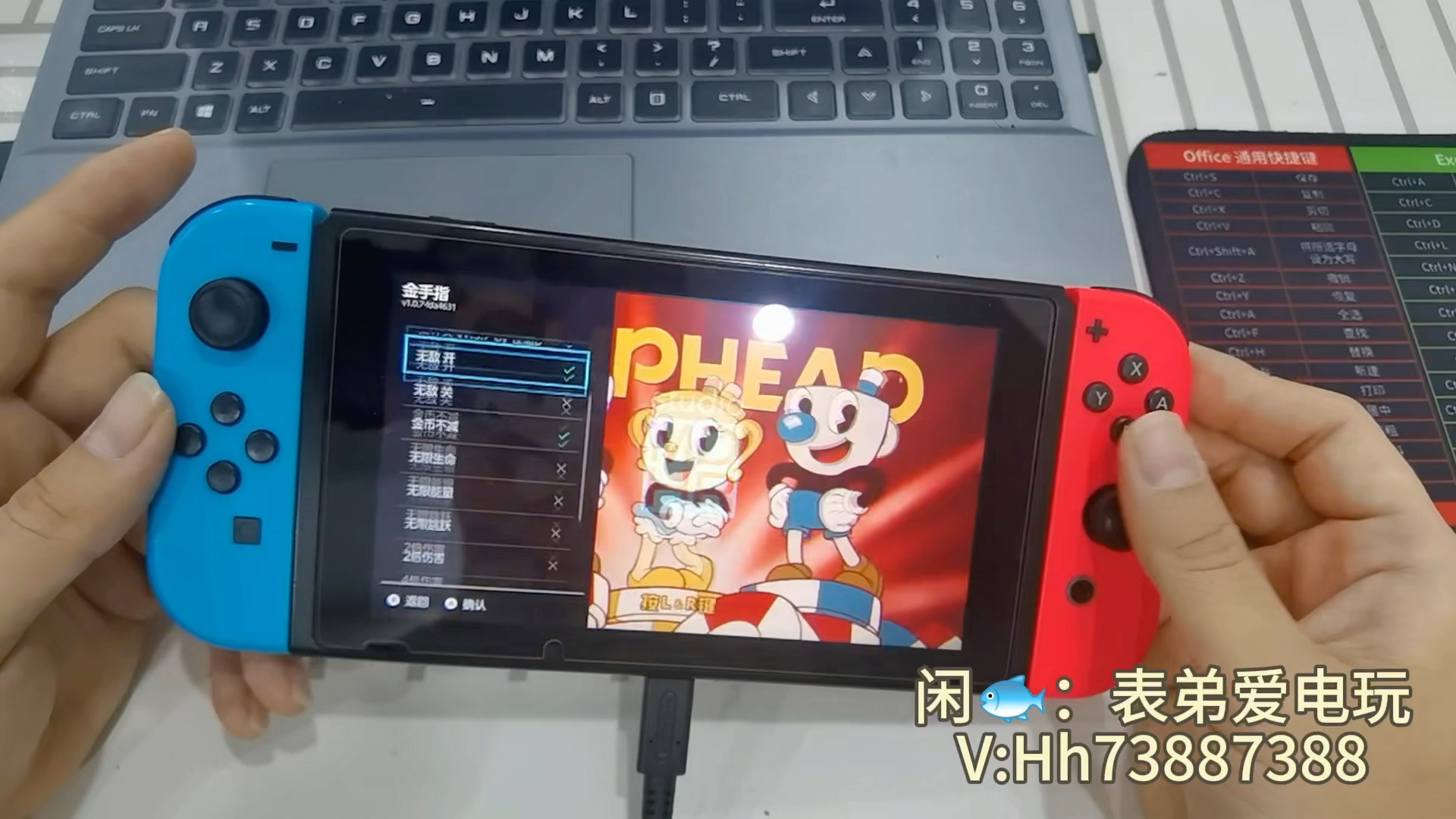 Switch 金手指的安装详细教程,以及特斯拉的呼出方式的查询与更改!
