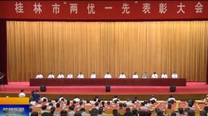 我市召开“两优一先”表彰大会:牢记习近平总书记嘱托 打造世界级...