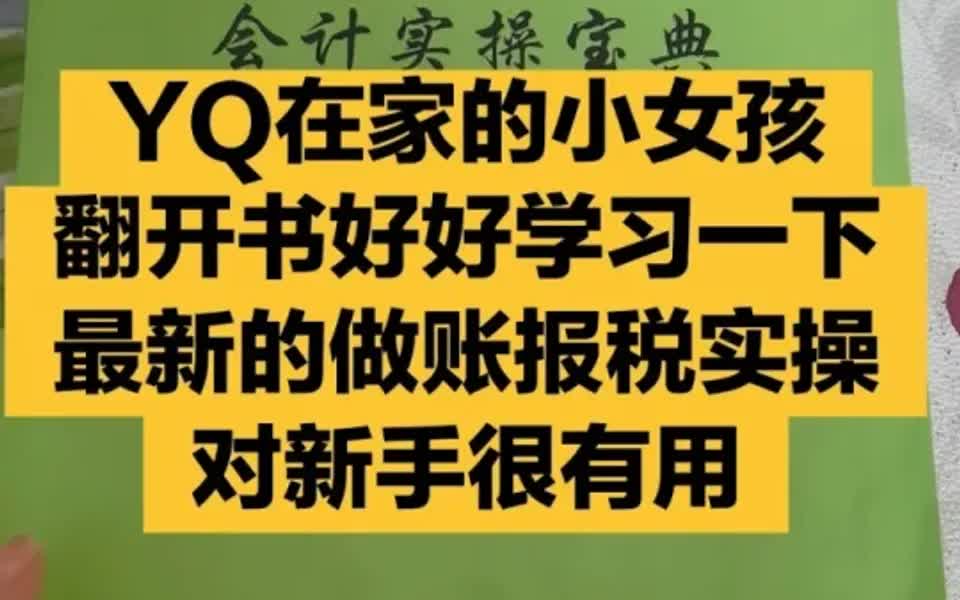ߔ�会计实操:新手小白必备会计实操宝典
