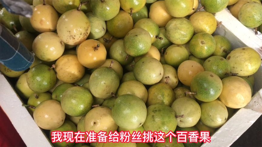 百香果原来是这样吃的,白吃了这么多年竟然现在才知道,涨知识了